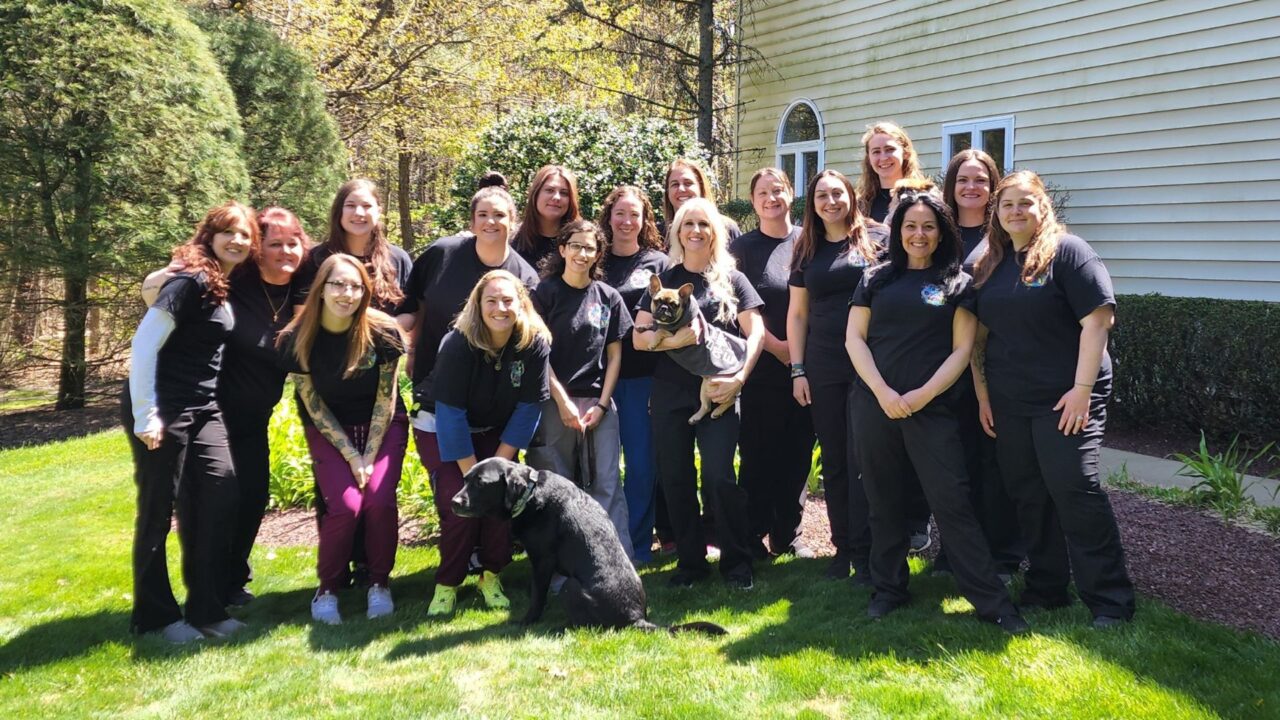 Best Vet In Old Bridge, NJ 08857 | Route 516 Animal Hospital